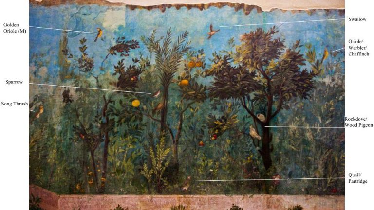 Villa of Livia at Prima Porta – The Roman Villa & The Culture of Bird