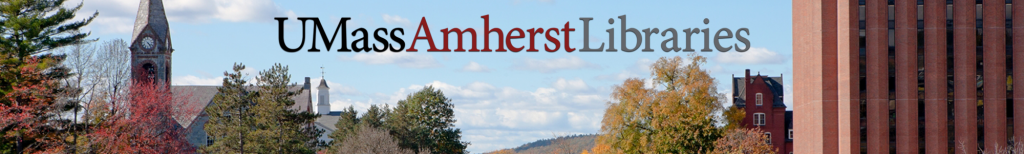 University of Massachusetts Amherst Discovery Search Usability Study ...